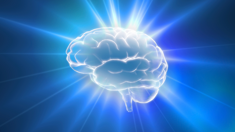 The Architecture of the Brain – Read. Talk. Play. Everyday!